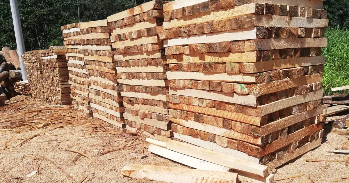 PremiumTeak: Venta de Maderas Finas y Teca en Ecuador